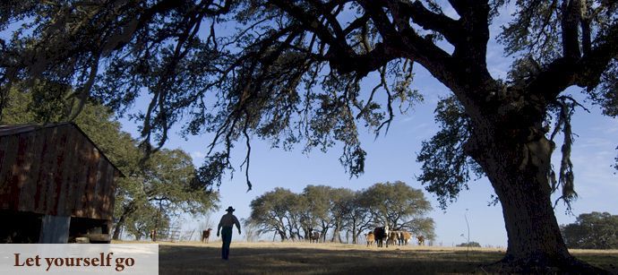 Knibbe Ranch, Spring Branch, TX Jobs | Hospitality Online